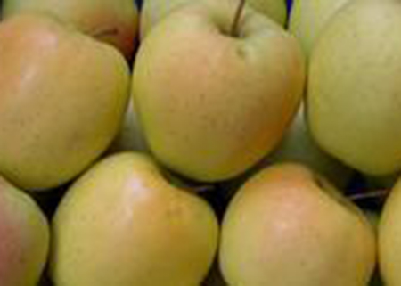 Mele golden delicious - dettaglio